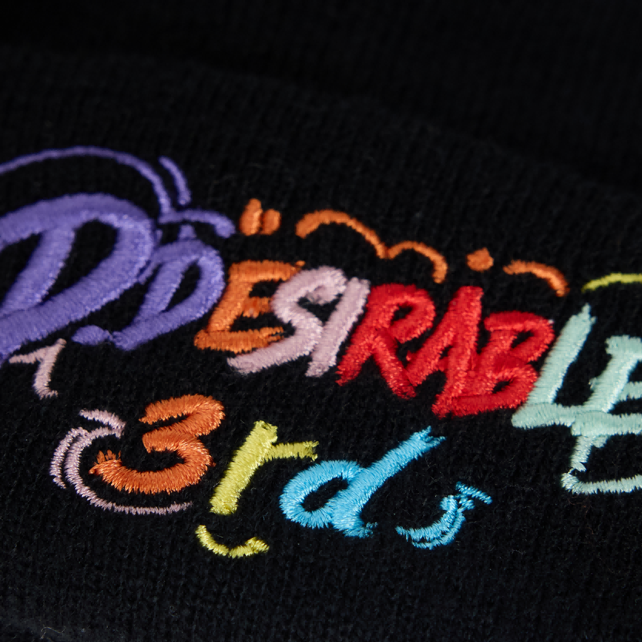 D.DESIRABLE-3rd Colorful Embroidery Beanie – ddesirable.com